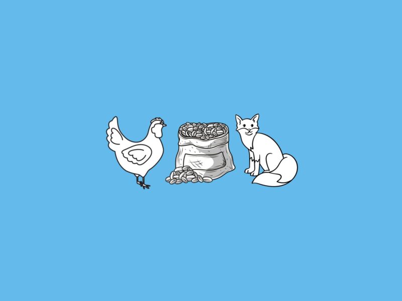 Chicken, Fox and Grain Riddle (Solution Using Original Images) - DigiNo